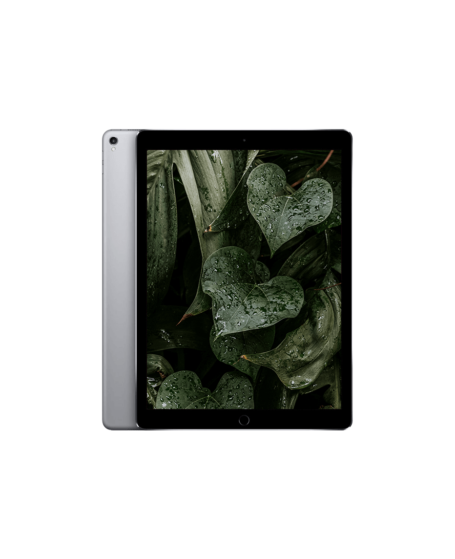Used iPad Pro 2 (2017) 12.9" Wi-Fi with 2 year warranty | Refurbly