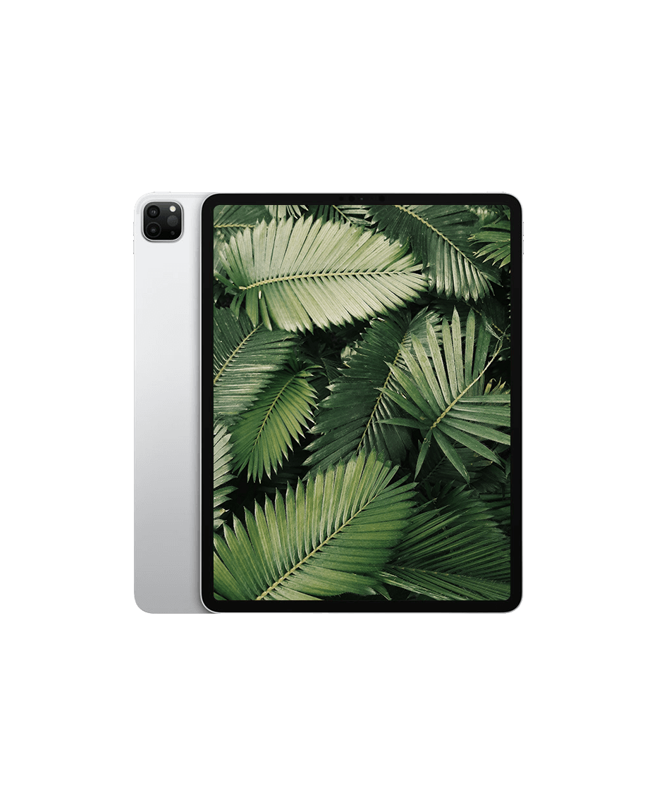 Begagnad iPad Pro 4 (2020) 12.9" Wi-Fi + 4G med 2 års garanti | Refurbly